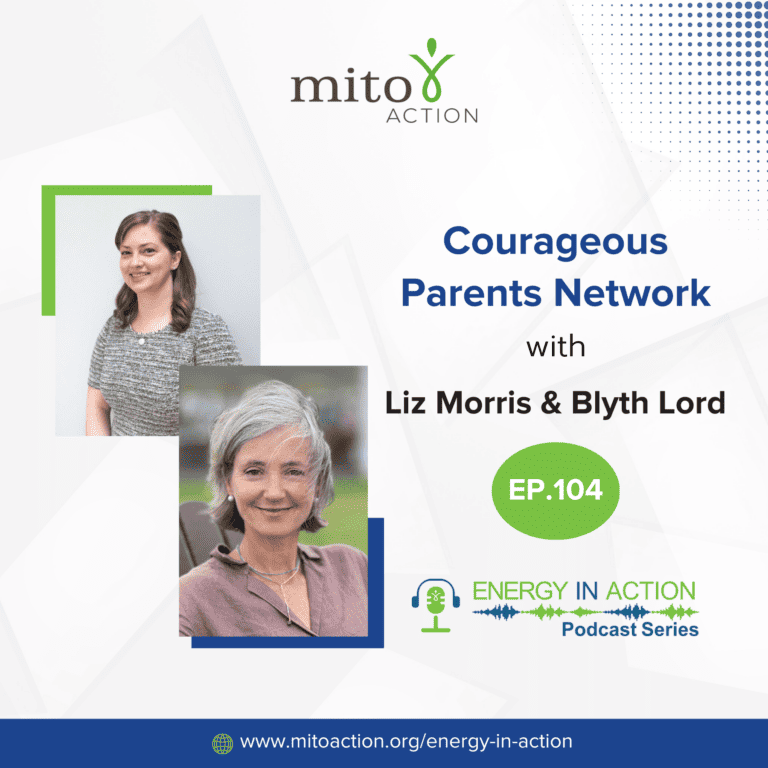 Energy in Action Podcast Courageous Parents Network